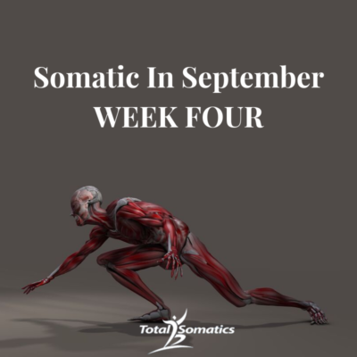 Somatics FAQS | Total Somatics